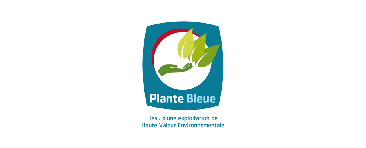 La Choletaise Horticulture • Plante Bleue : Le niveau 3 - La Choletaise Horticulture