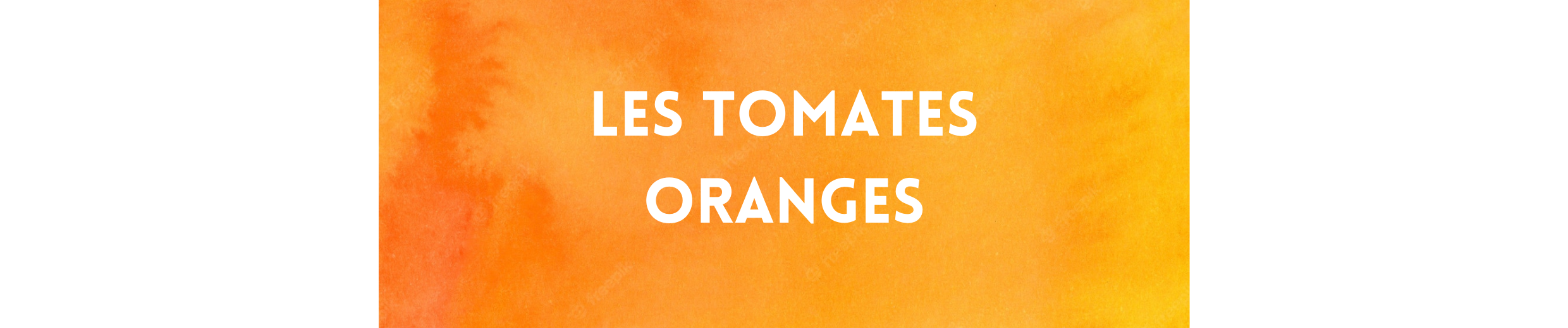 La Choletaise Horticulture • Les variétés de tomates orange - La ...